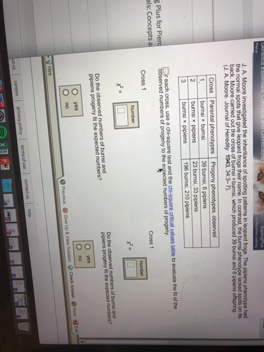 Solved J. A. Moore investigated the inheritance of spotting | Chegg.com
