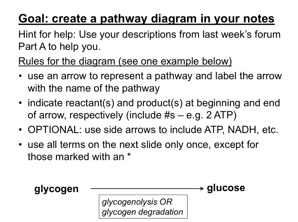 Solved Goal: create a pathway diagram in your notes Hint for | Chegg.com