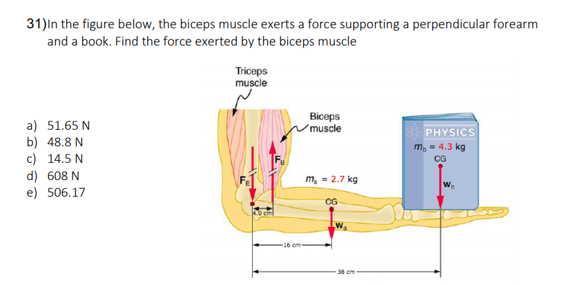 Solved 31)In the figure below, the biceps muscle exerts a | Chegg.com