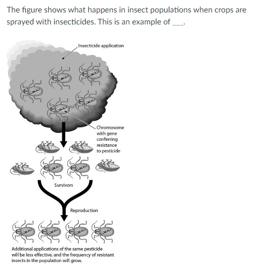 Solved A. directional selection B. diversifying | Chegg.com