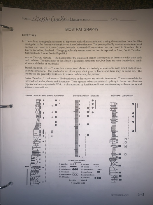 Solved NAME: CTION DATE BIOSTRATIGRAPHY EXERCISES 1. These | Chegg.com