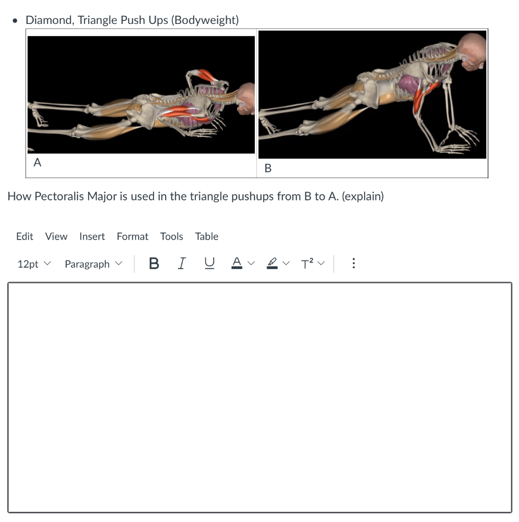 Solved • Diamond, Triangle Push Ups (Bodyweight) А B How | Chegg.com