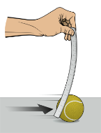 Solved Use a tennis ball and a flexible ruler to investigate | Chegg.com