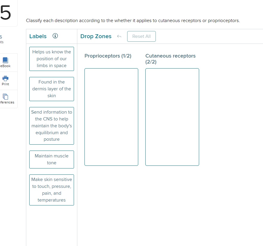 Solved Classify each description according to the whether it | Chegg.com Solved Classify each description according to the whether it | Chegg.com