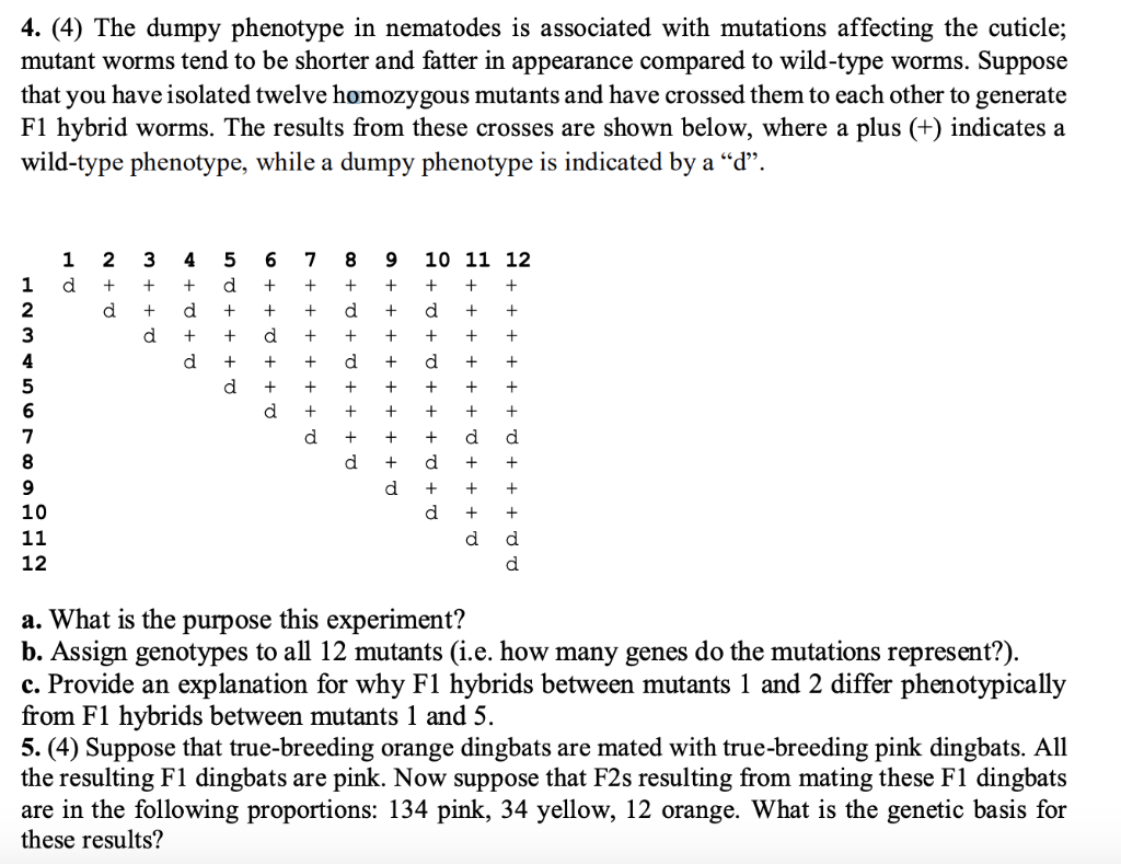 Solved 4. (4) The dumpy phenotype in nematodes is associated | Chegg.com