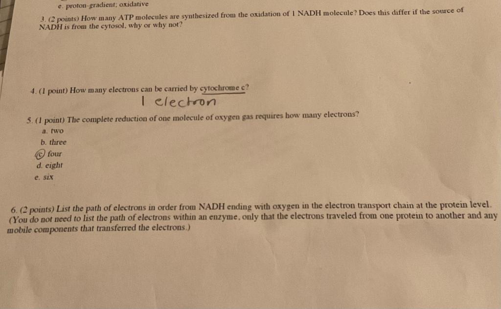 Solved 3. (2 points) How many ATP molecules are synthesized | Chegg.com