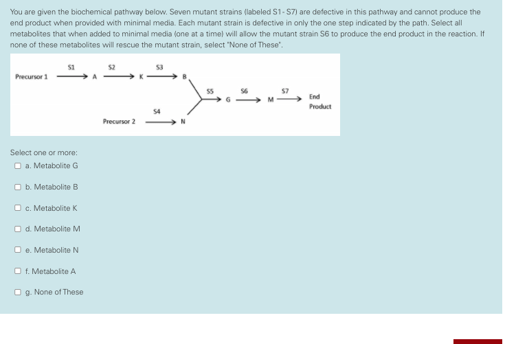 Solved GENETICS HELP 1. You are given the biochemical | Chegg.com