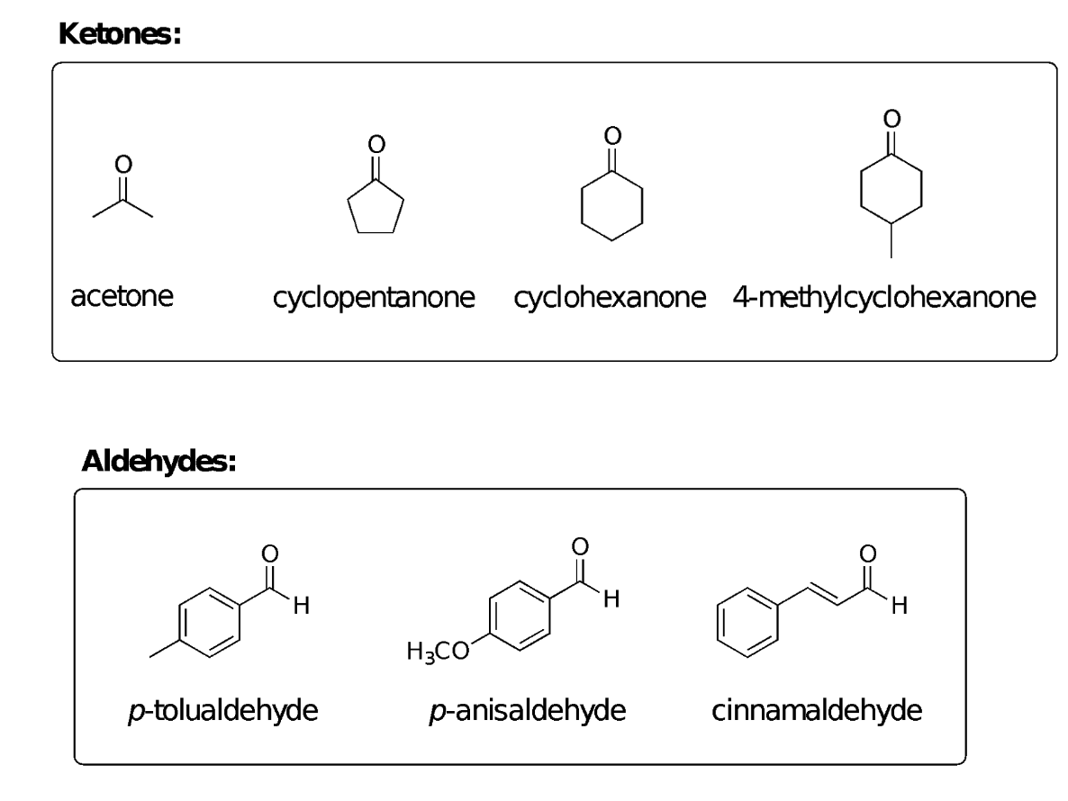 Solved Ketones: i acetone cyclopentanone cyclohexanone | Chegg.com