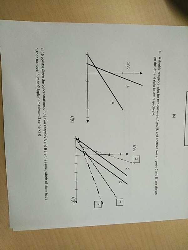 Solved IS] 4. A double-reciprocal plot for two enzymes, A | Chegg.com