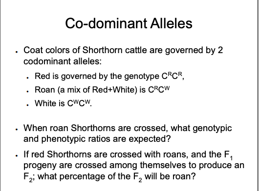 Solved Co-dominant Alleles . Coat colors of Shorthorn cattle | Chegg.com