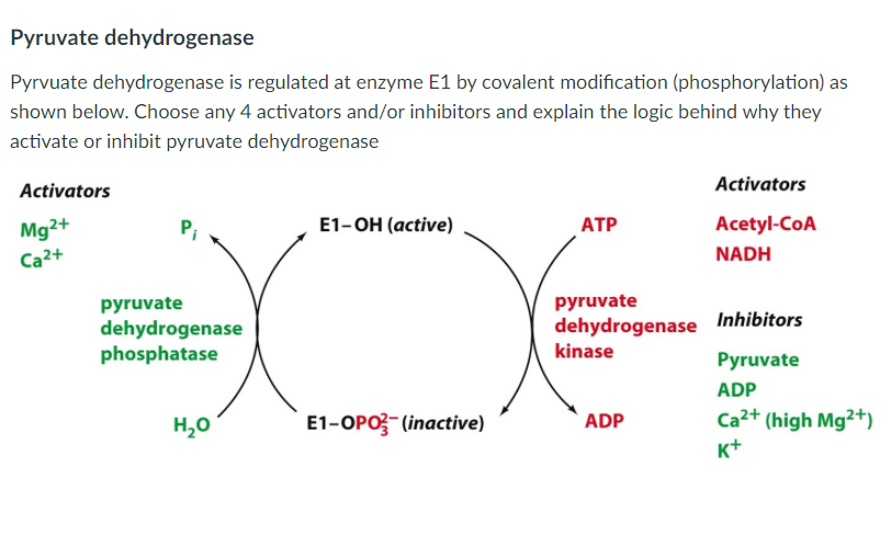 Solved Pyruvate dehydrogenase Pyrvuate dehydrogenase is | Chegg.com