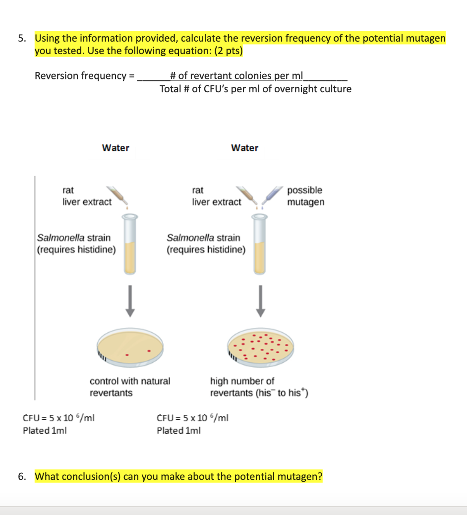 Solved 5. Using the information provided, calculate the | Chegg.com
