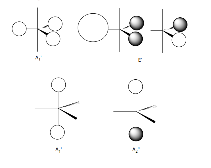 Solved Use the provided SALCs to determine the molecular | Chegg.com