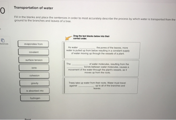 Solved Transportation of water 0 Fill in the blanks and | Chegg.com