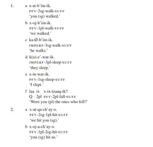 LINGUISTICS ( MORPHOLOGY AND SYNTAX) 7A Quich´e | Chegg.com
