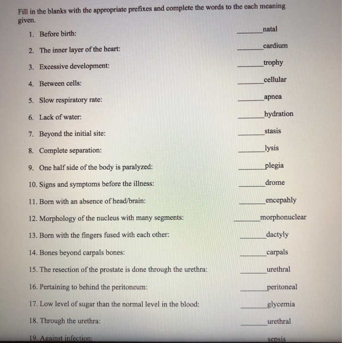 Solved Fill in the blanks with the appropriate prefixes and | Chegg.com