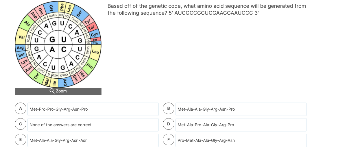 Solved G Based off of the genetic code, what amino acid | Chegg.com