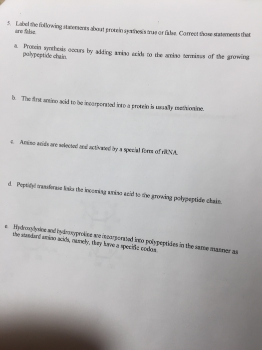 Solved 5. Label the following statements about protein | Chegg.com