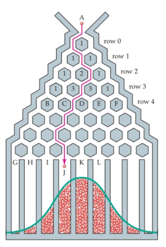 Solved The Galton Board The Galton board is | Chegg.com
