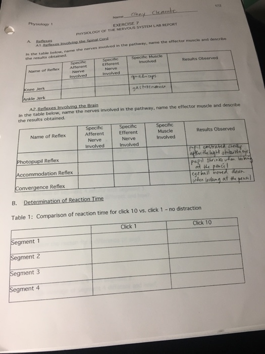 Solved Physiology EXERCISE 7 NERVOUS SYSTEM LAB REPORT | Chegg.com