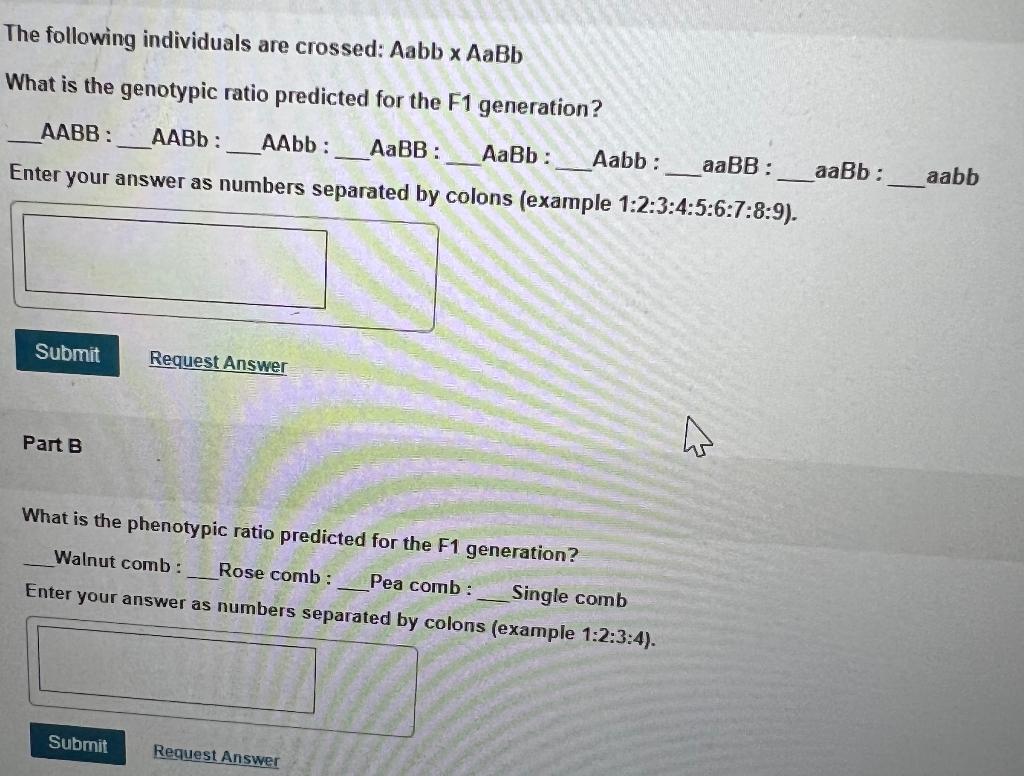 Solved The following individuals are crossed: Aabb x AaBb | Chegg.com