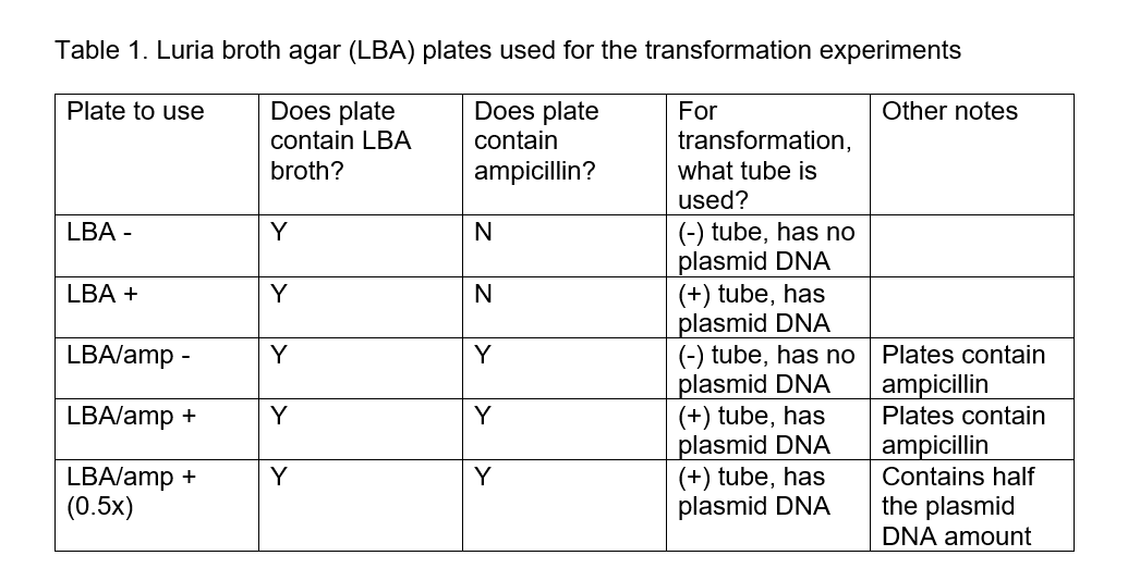 Solved Table 1. Luria broth agar (LBA) plates used for the | Chegg.com