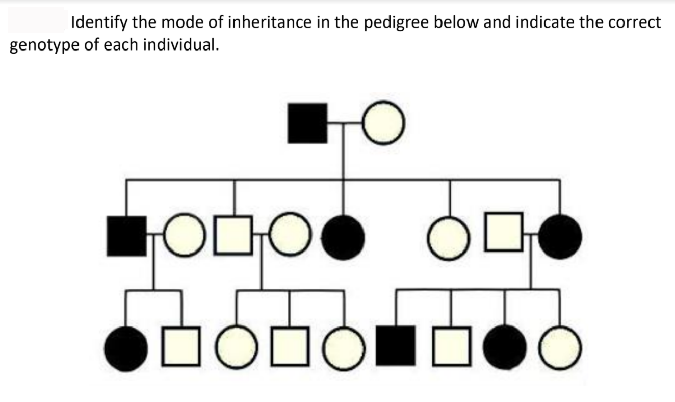 Solved Identify the mode of inheritance in the pedigree | Chegg.com