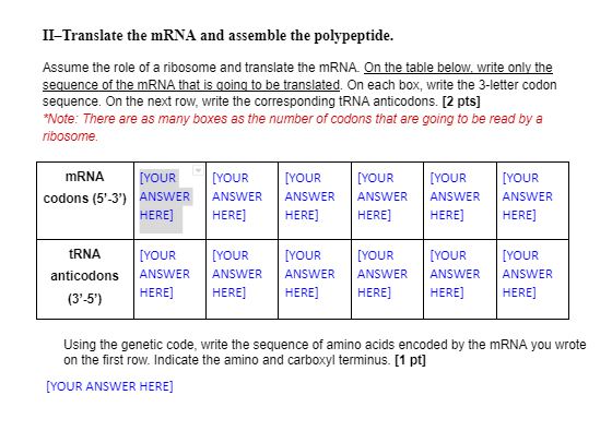 Solved II-Translate the mRNA and assemble the polypeptide. | Chegg.com