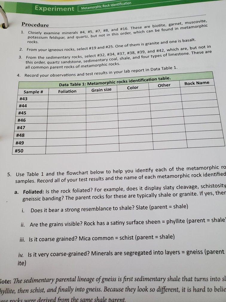 could I have help with this assignment? thank you! | Chegg.com