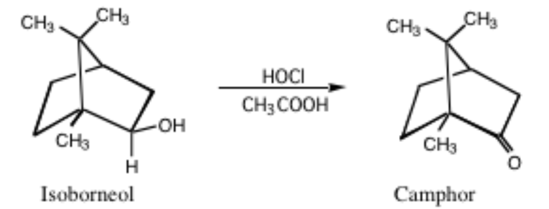 Solved Find the percent recovery of pure camphor from crude | Chegg.com