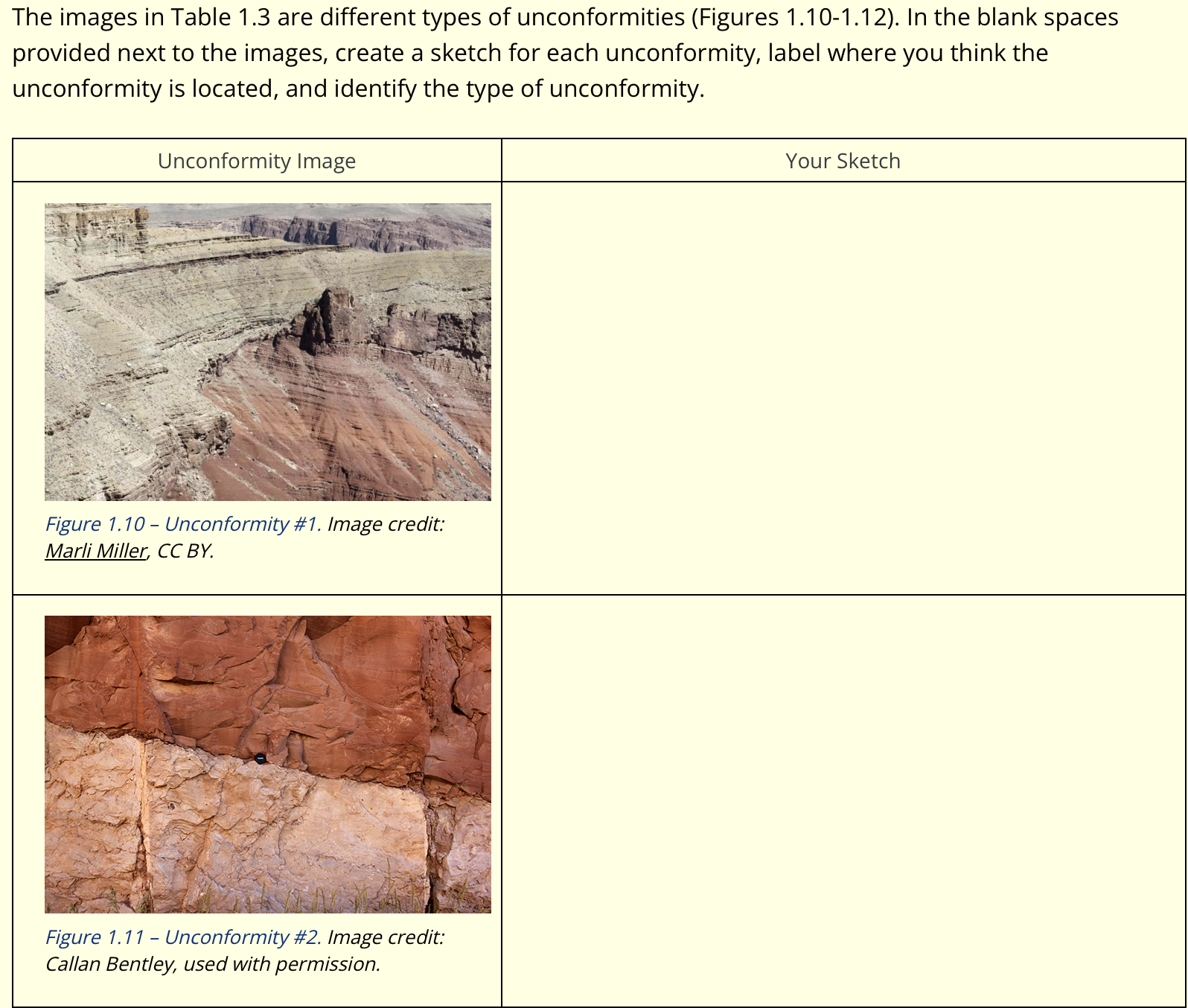 Solved The images in Table 1.3 ﻿are different types of | Chegg.com