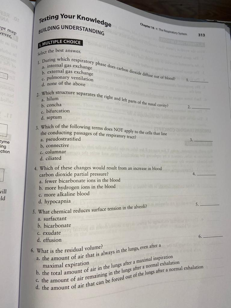 Solved Chapter 16 - The Respiratory System ept map wever, | Chegg.com