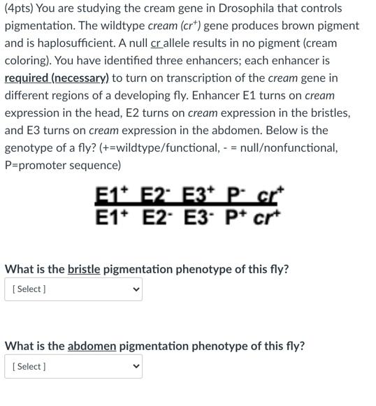 Solved (4pts) You are studying the cream gene in Drosophila | Chegg.com