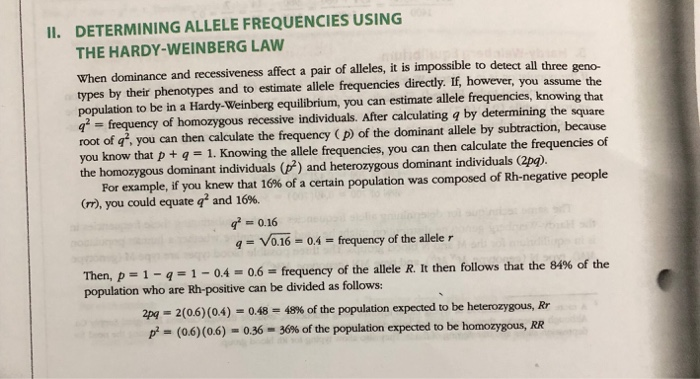 Solved DETERMINING ALLELE FREQUENCIES USING THE | Chegg.com
