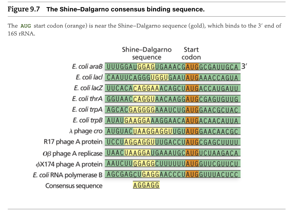 Solved 1. Below is a map for a plasmid called ‘pGFP’: | Chegg.com