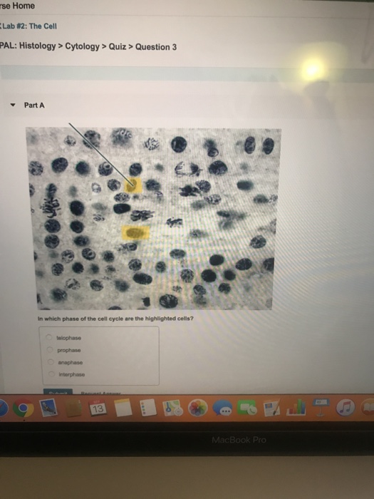 Solved: BIO 181 Lab Section O9 Course Home CLab 82: The Ce... | Chegg.com Solved: BIO 181 Lab Section O9 Course Home CLab 82: The Ce... | Chegg.com