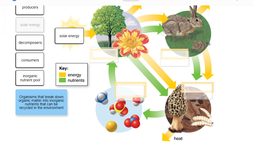 Solved Item 4 Label the image below to explore the processes | Chegg.com