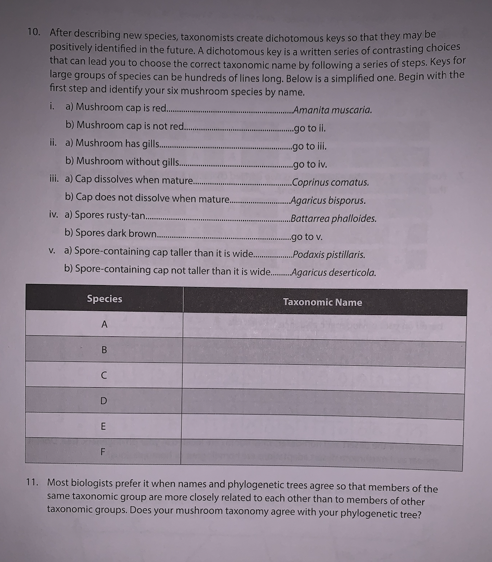 Solved 10. After describing new species, taxonomists create | Chegg.com