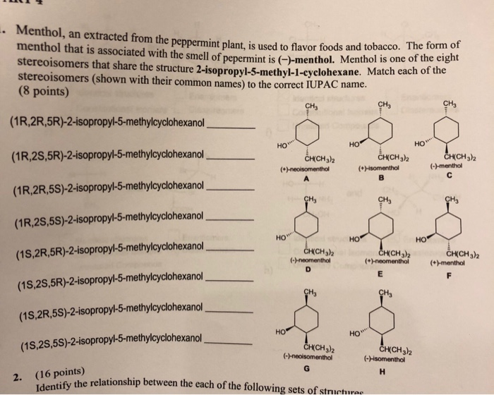 Solved the peppermint plant, is used to flavor foods and | Chegg.com