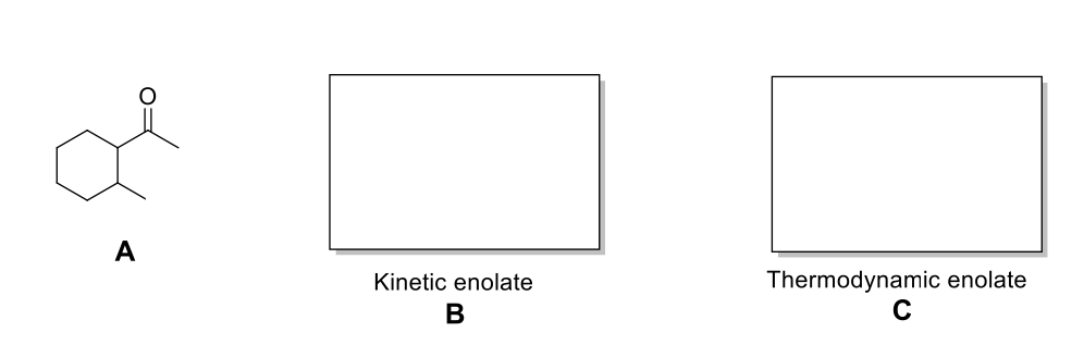 Solved Draw the kinetic and thermodynamic enolates of the | Chegg.com