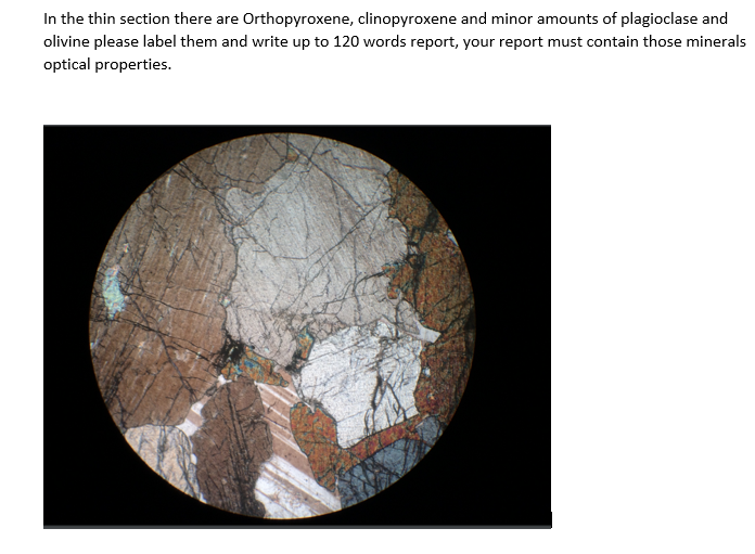 Solved In the thin section there are Orthopyroxene, | Chegg.com
