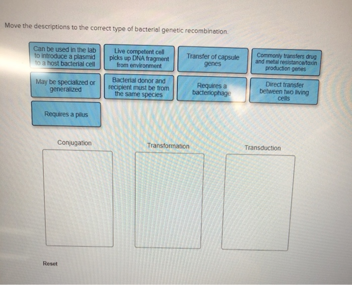 Solved Move the descriptions to the correct type of | Chegg.com
