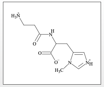 Solved The structure of anserine at pH 7 is shown below. It | Chegg.com