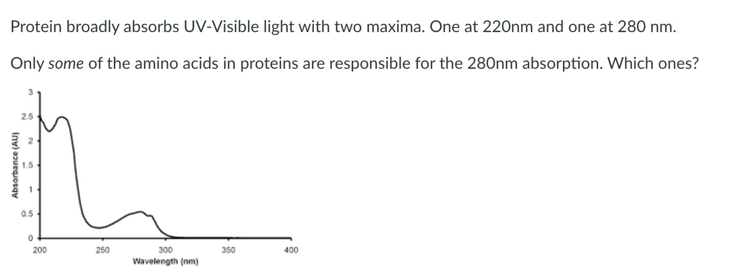 Solved Protein broadly absorbs UV-Visible light with two | Chegg.com
