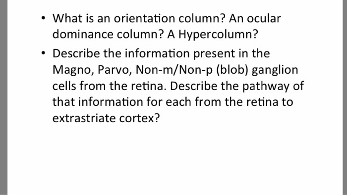 Solved What is an orientation column? An ocular dominance | Chegg.com