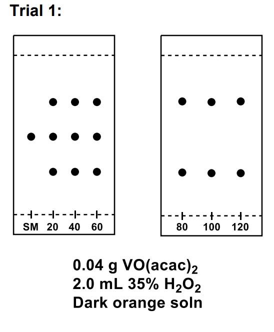 On each TLC plate, SM = only starting material | Chegg.com