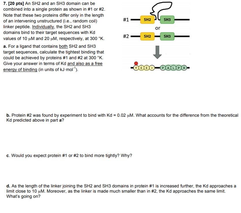 #1 - SH2 SH3 or 7. [20 pts] An SH2 and an SH3 domain | Chegg.com