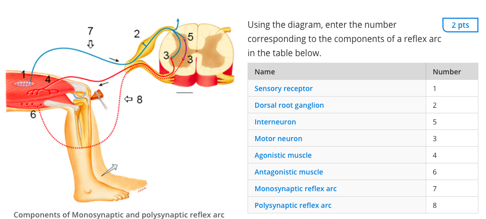 Solved I don't think this is correct. What are the | Chegg.com
