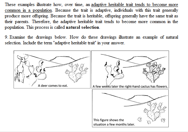 Solved These examples illustrate how, over time, an adaptive | Chegg.com