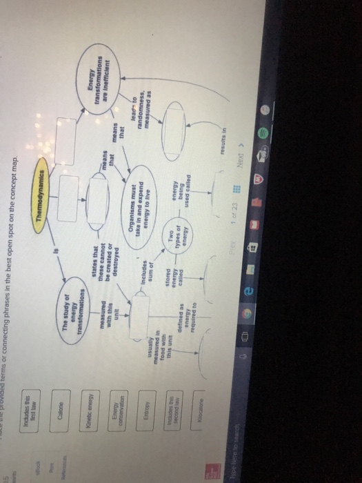 Solved place the provided terms or connecting phrases in the | Chegg.com